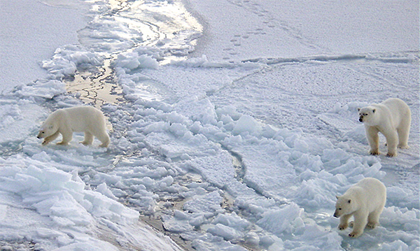 Winter safety risks.